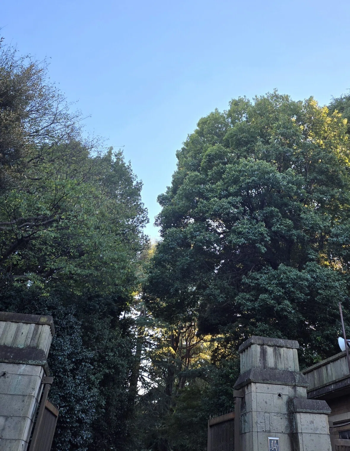 【目印を見つけるノート】1692. 日本近代文学館で『信頼』のかたちを見る｜尾方佐羽