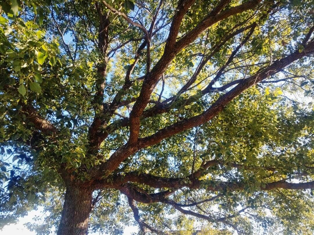 note毎日投稿1か月！｜nao kamimura