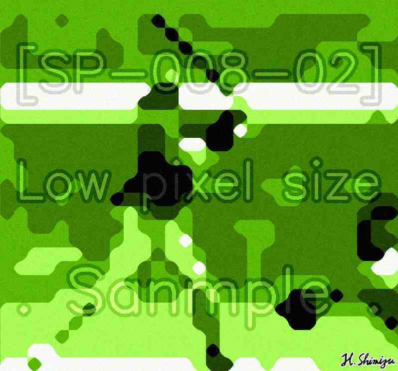 Color Pattern [SP-008]｜DongriDonD