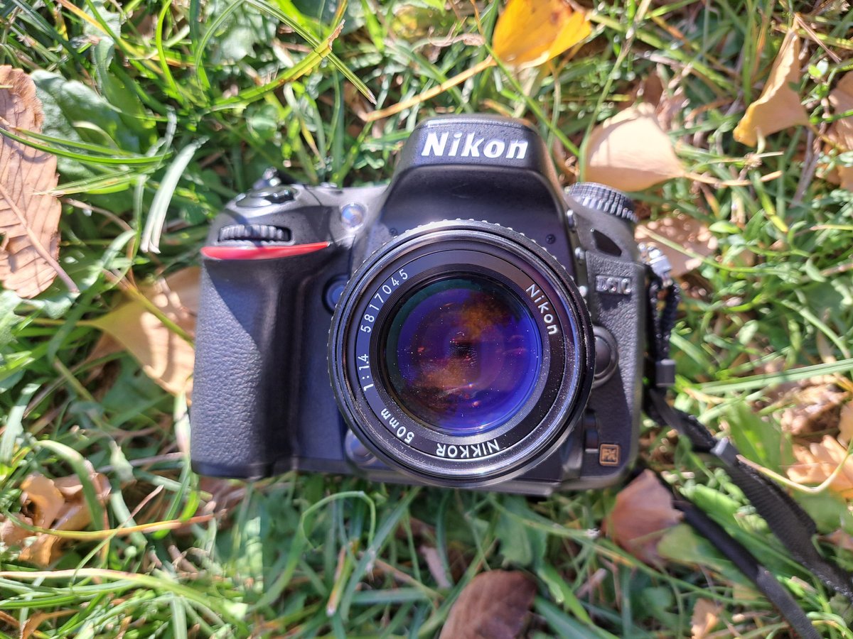 📷 カメラ『を』撮る快楽 D610ちゃん｜GR宮前