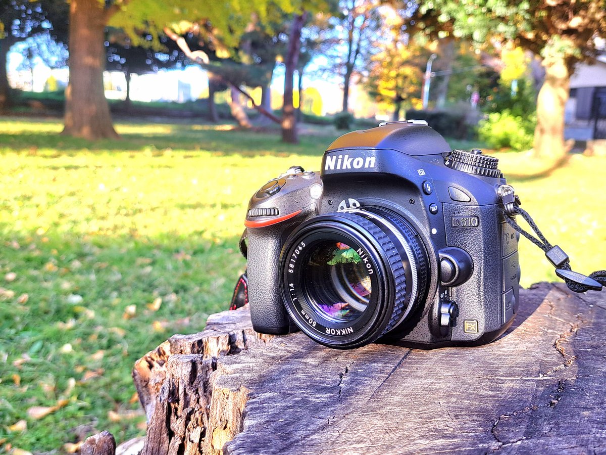 📷 カメラ『を』撮る快楽 D610ちゃん｜GR宮前