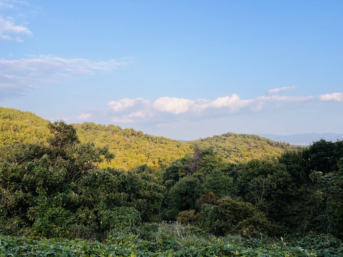 【佐渡プロジェクト】～佐渡キャンプ部～焚き火の炎に映る、星下のひととき｜miracleave株式会社
