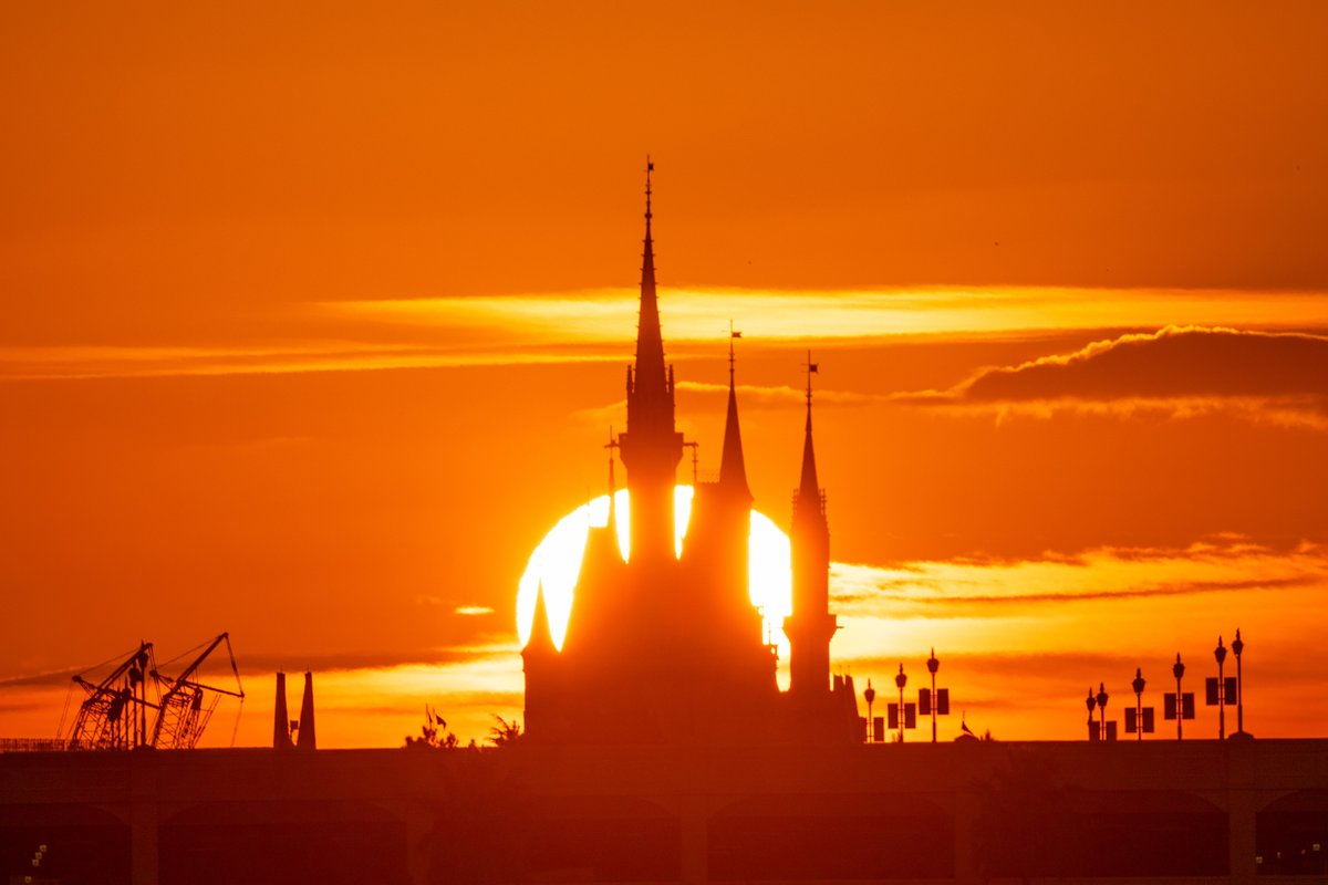 シンデレラ城と朝日 2024/11/22｜Toru Shiratori