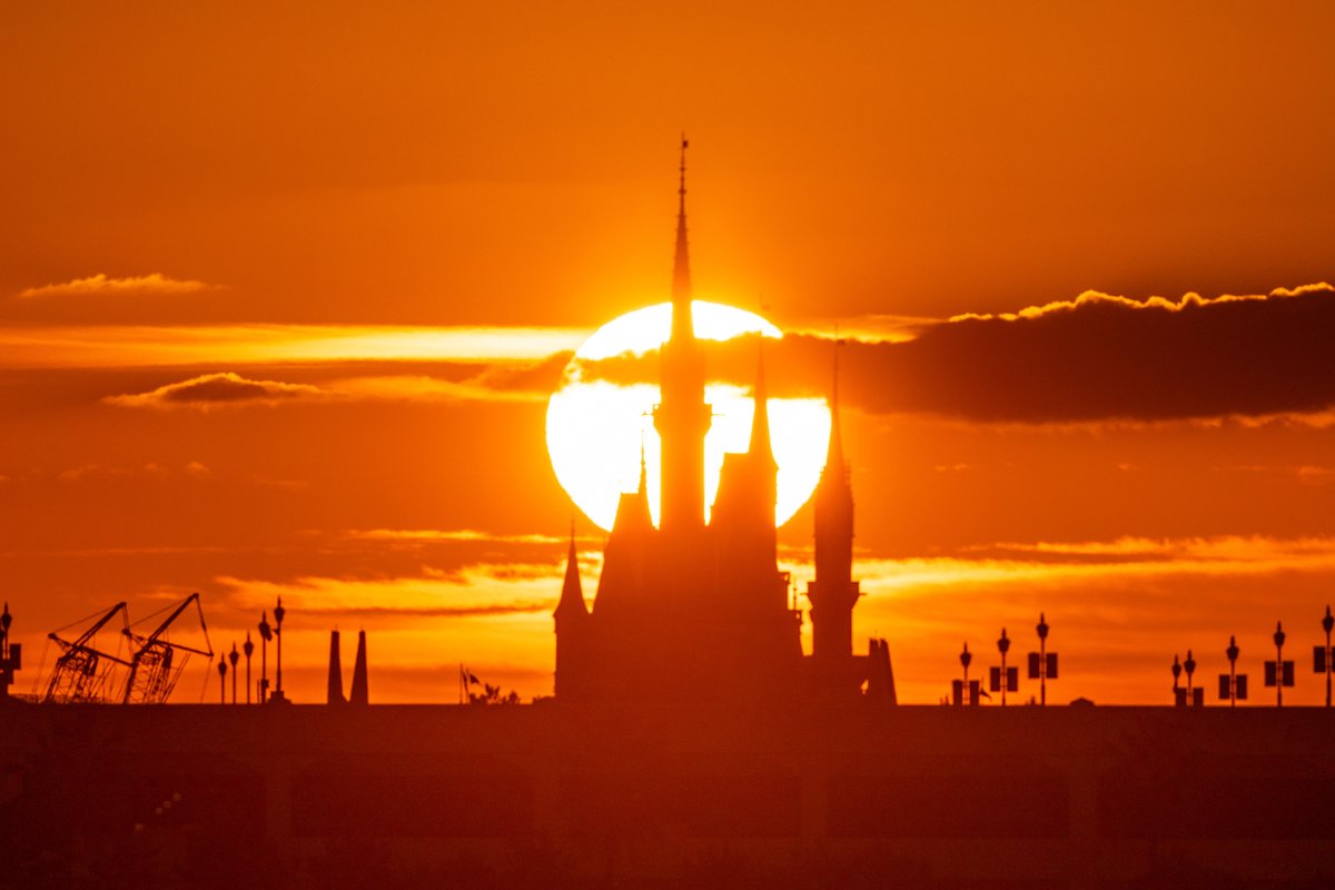 シンデレラ城と朝日 2024/11/22｜Toru Shiratori