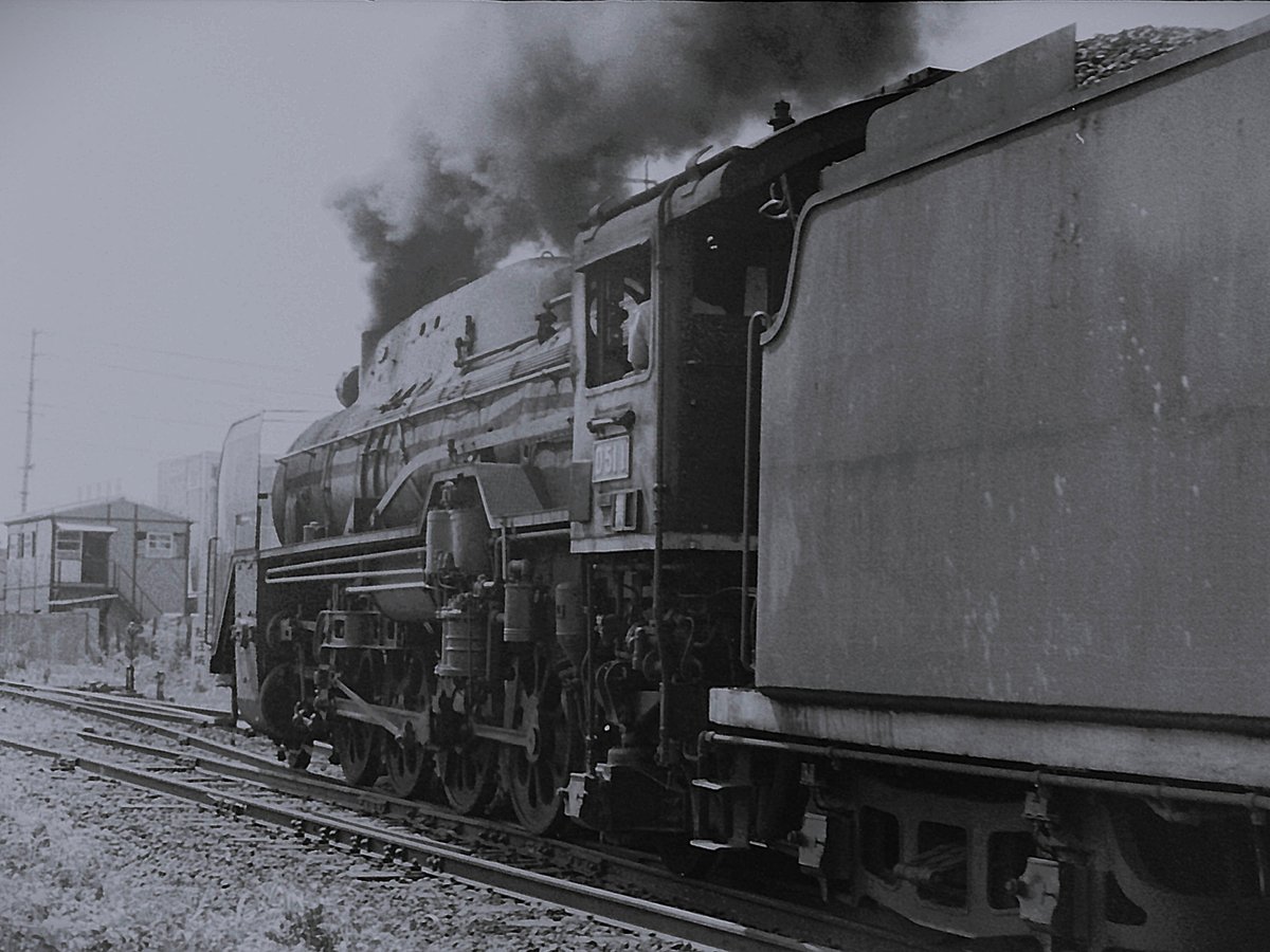 D51 1号機の現役走行 山陰本線を駆け抜けた記録 1971(S.46)~’72(S.47)｜松下 明 (MATSUSHITA Akira )