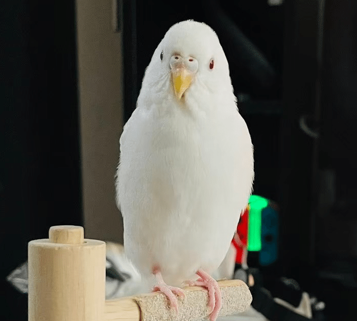 2024年買って良かったモノ｜Shintaro Tsukamoto