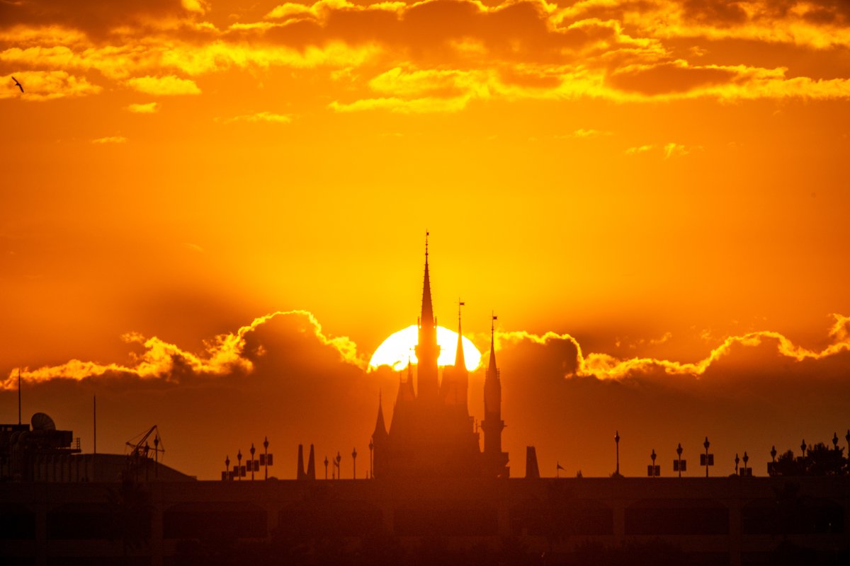 シンデレラ城と朝日 2024/11/26｜Toru Shiratori