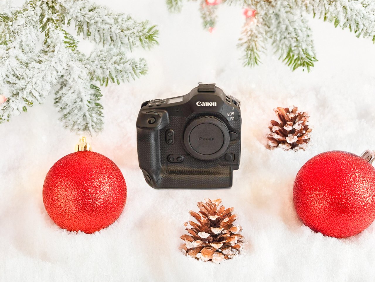 Canon「EOS R1」開封の儀|Photographer non🐤 Canon「EOS R1」開封の儀|Photographer non🐤