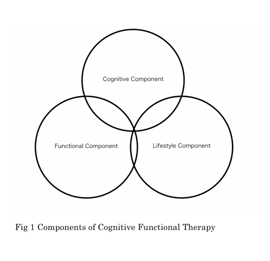 慢性腰痛の新たな治療戦略｜おからだ治療院
