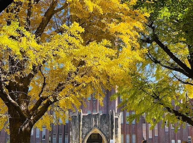 東京大学・散歩｜atelier☆lucere