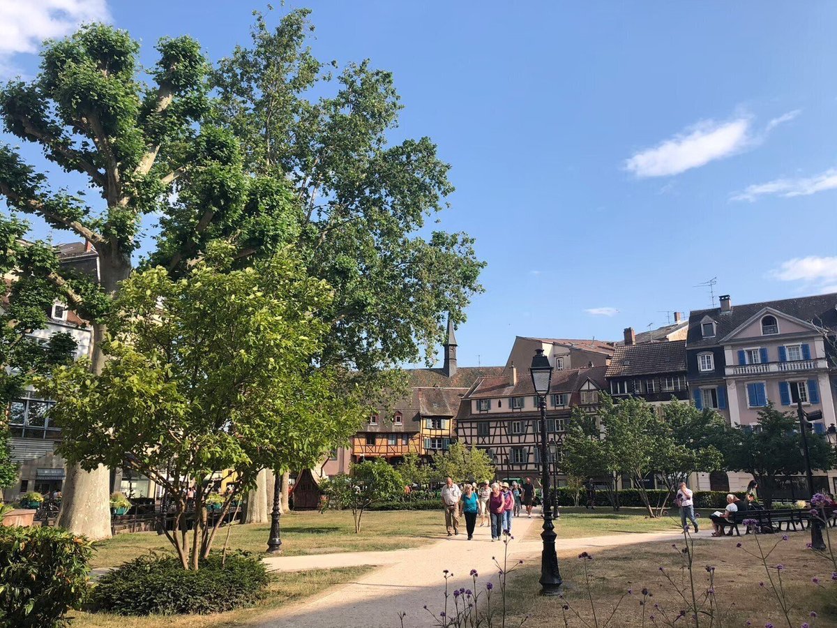 コルマール観光！美しい街並みの見どころを解説【フランス】｜Ikumi【世界旅行家】