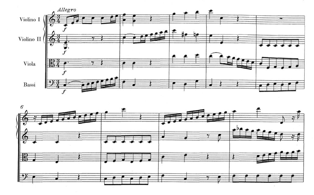 【ほぼ1年】DENON Perl Proのレビュー｜すいとな