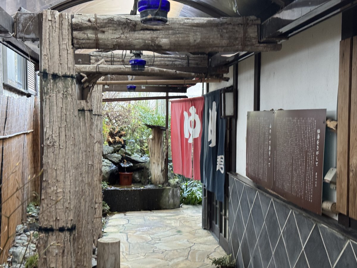 早川最奥の秘湯♨️奈良田温泉 白根館〜湯色変化の硫黄泉は“蕩ける名湯”〜｜Aoinotori-あおいのとり-