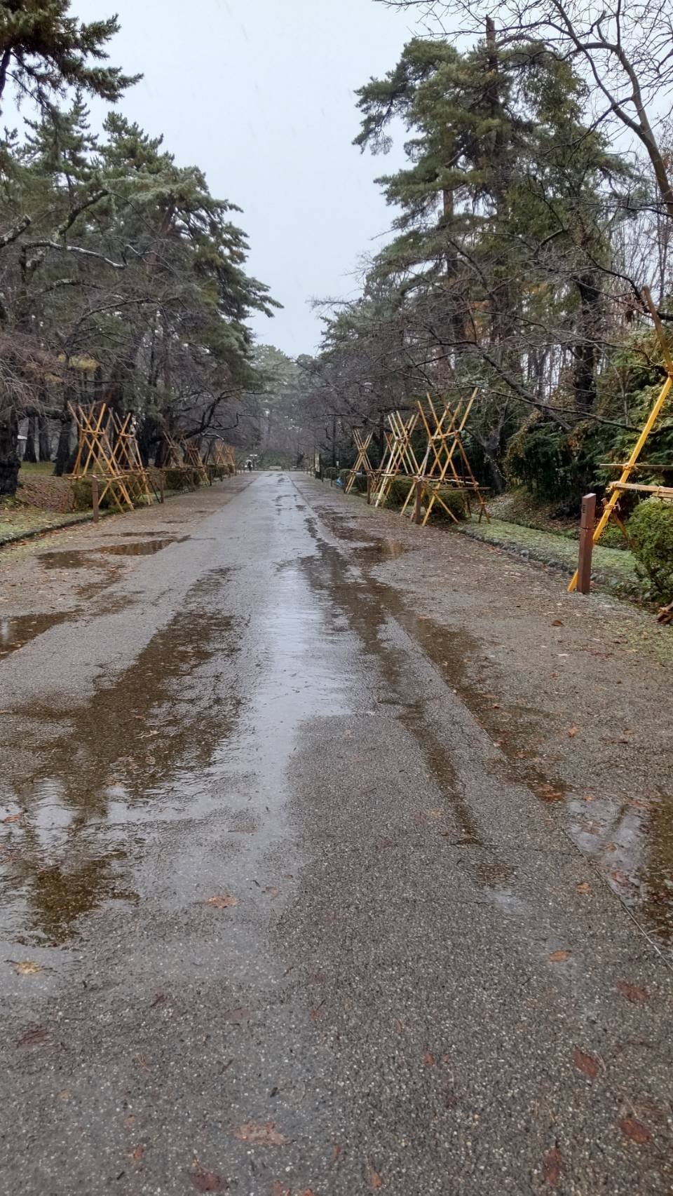 冬のともしび② 冬の弘前城にて｜UNWIND&KOMOREBI