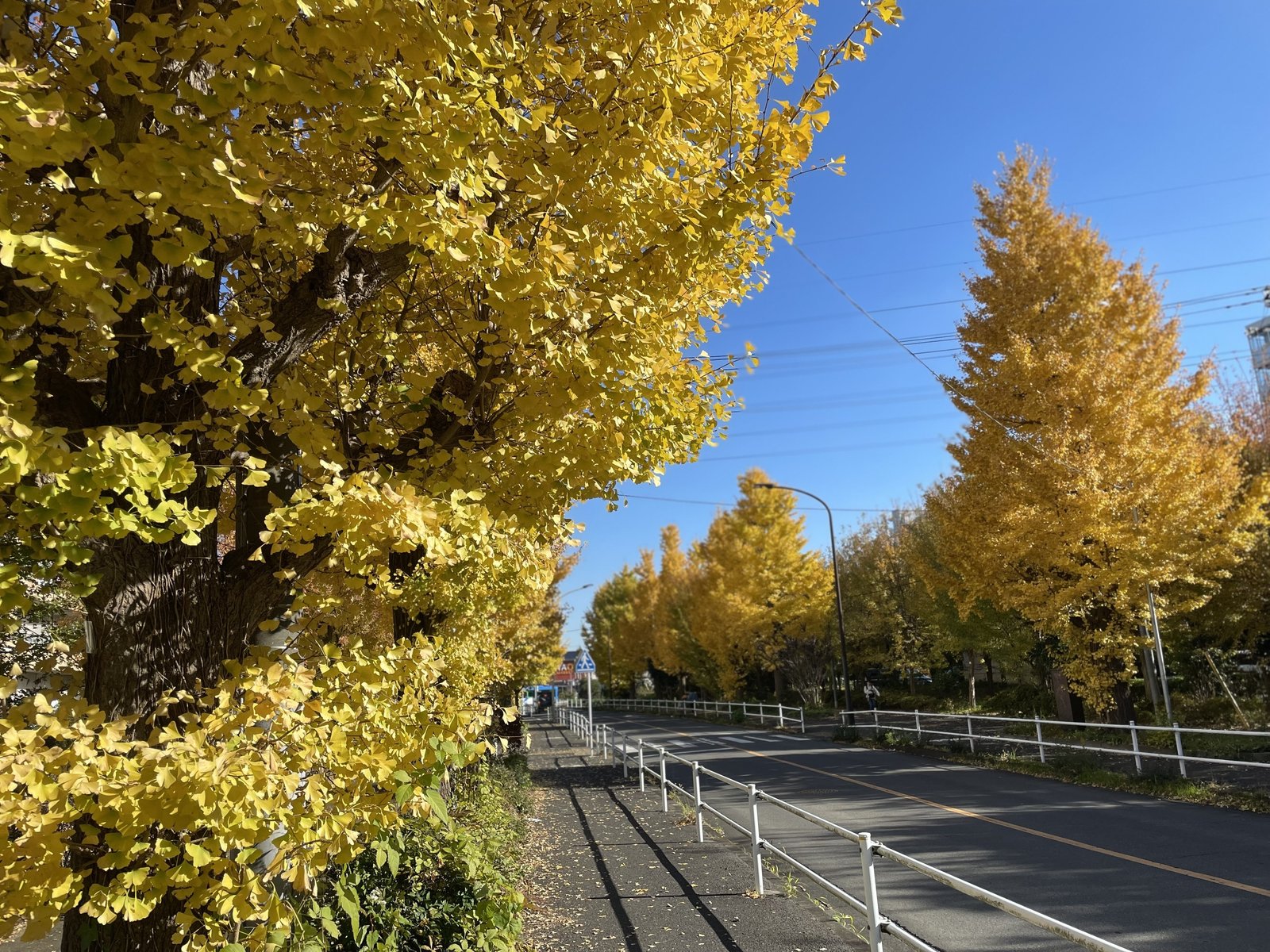 2024年12月2日 画像｜ExportControl