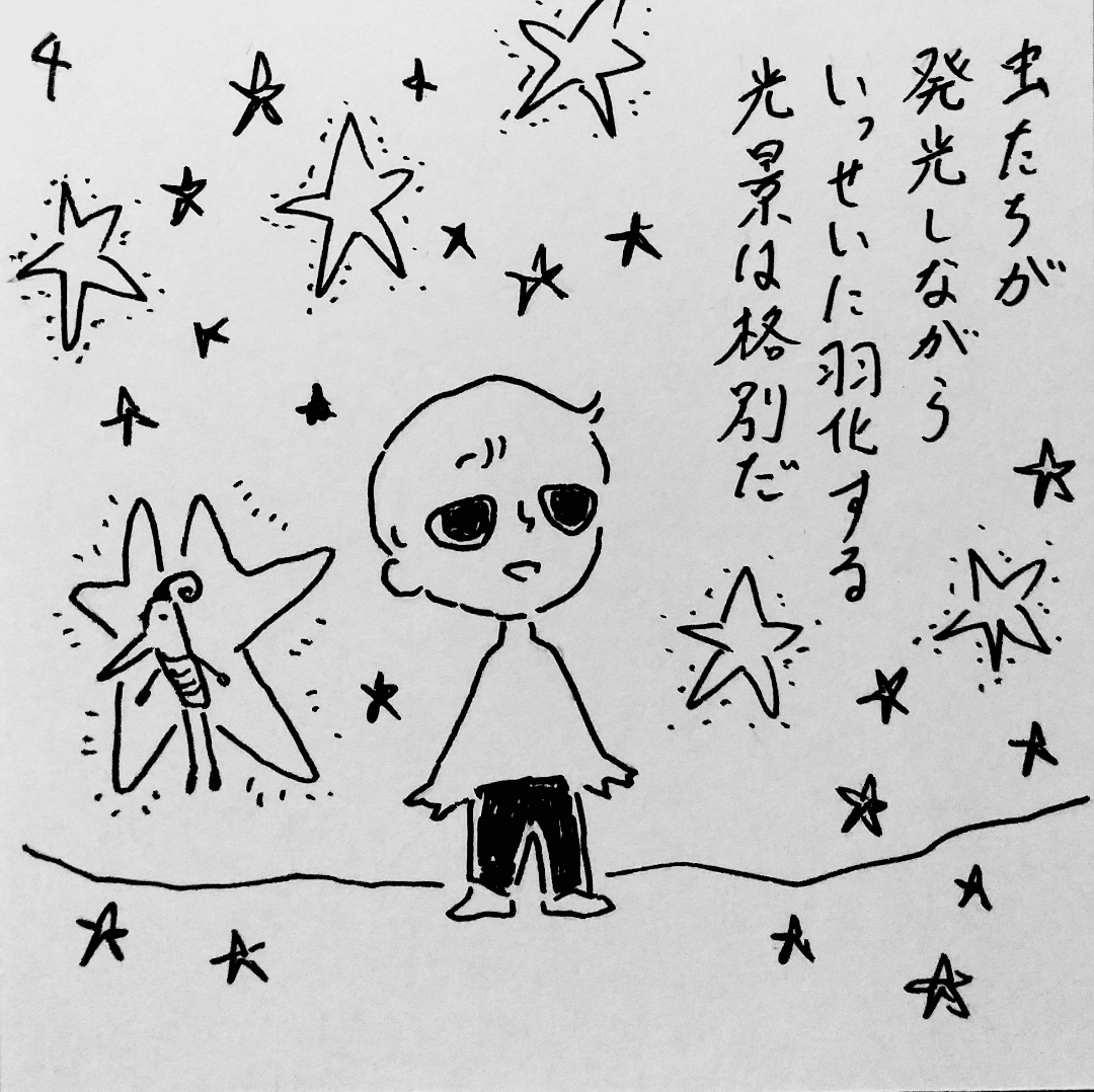 流れ星｜岩橋 月巳 Iwahashi tsukimi