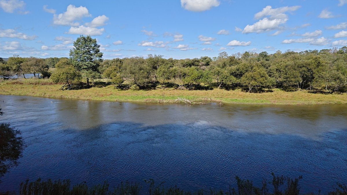 【往復完乗レポ】祝・釧路湿原ノロッコ号35周年【最終日】｜ysd_yurutabi