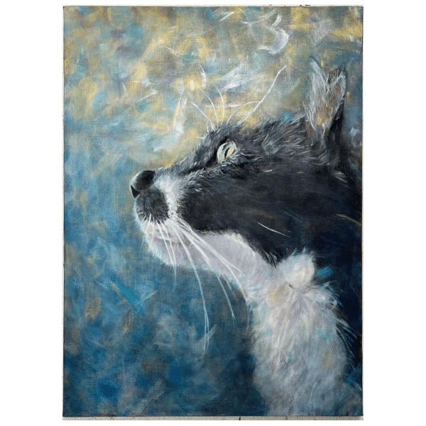 赤い涙｜Ryuichi tomiyama