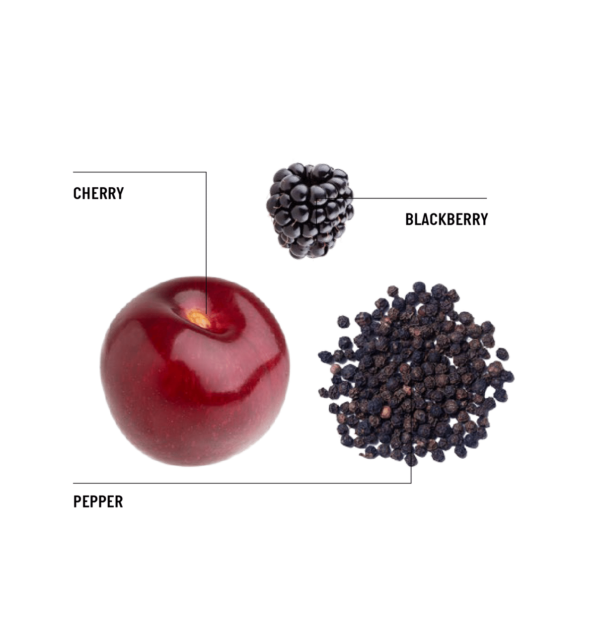 スイスのブドウ品種⑦&⑧ GAMARET & GARANOIR：ガマレとガラノワール｜SuisseKey Wine Online Shop