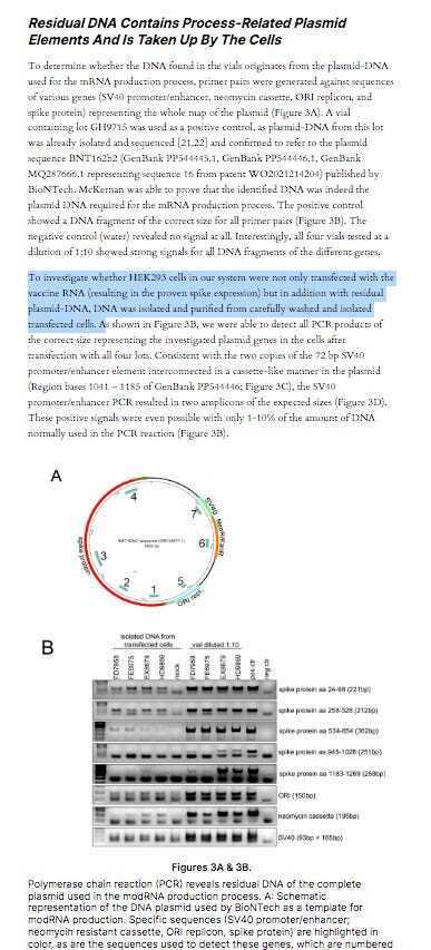 BioNTech RNAベースのCOVID-19注射には、SV40プロモーター/エンハンサー配列を含む大量の残留DNAが含まれている｜壺助