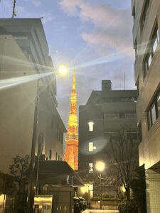 芝パークホテル・パークホテル｜Connita' コニータ