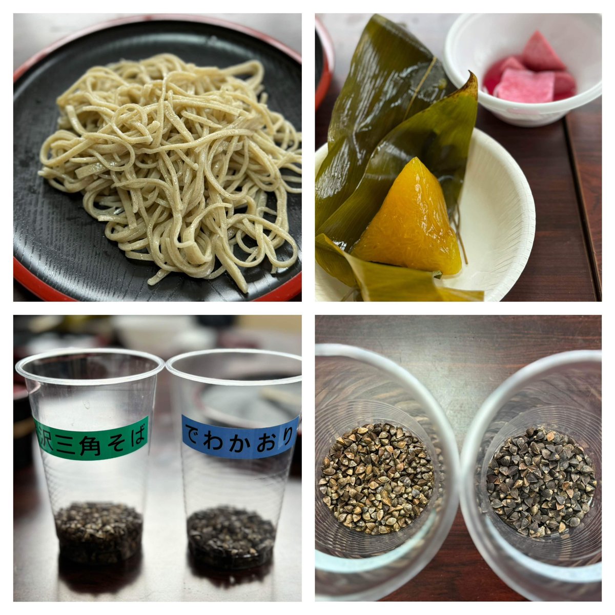 山形ワーケーション2日目 2024.11.19｜ジョイゾー公式note