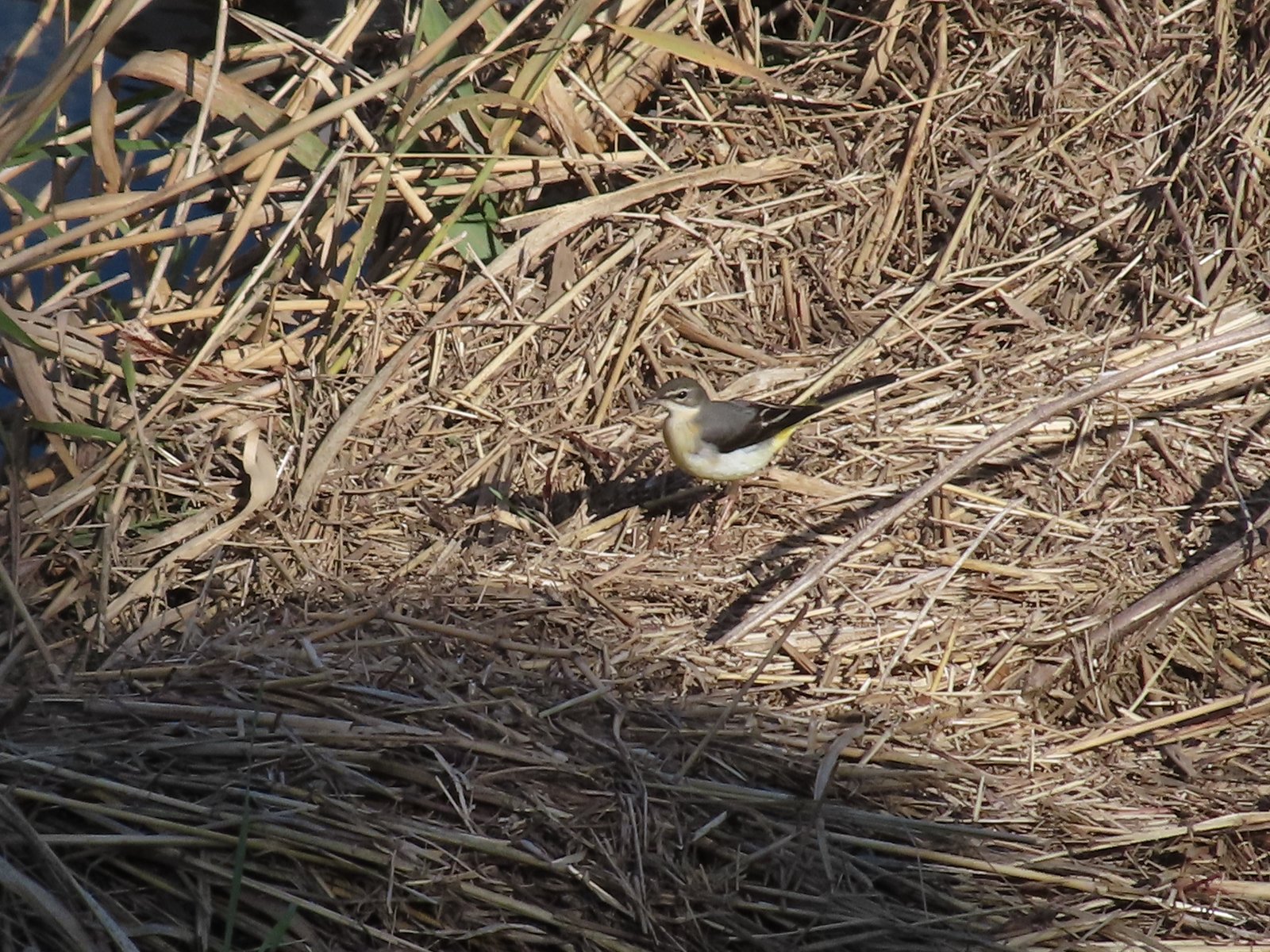 2024年12月5日 画像｜ExportControl