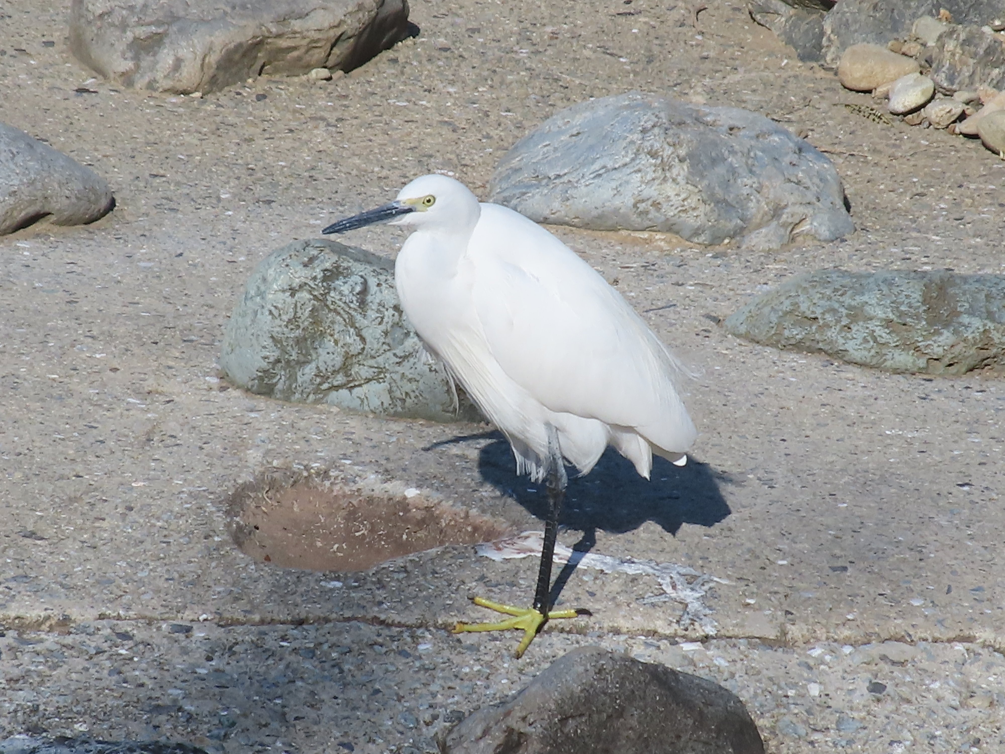 2024年12月5日 画像｜ExportControl