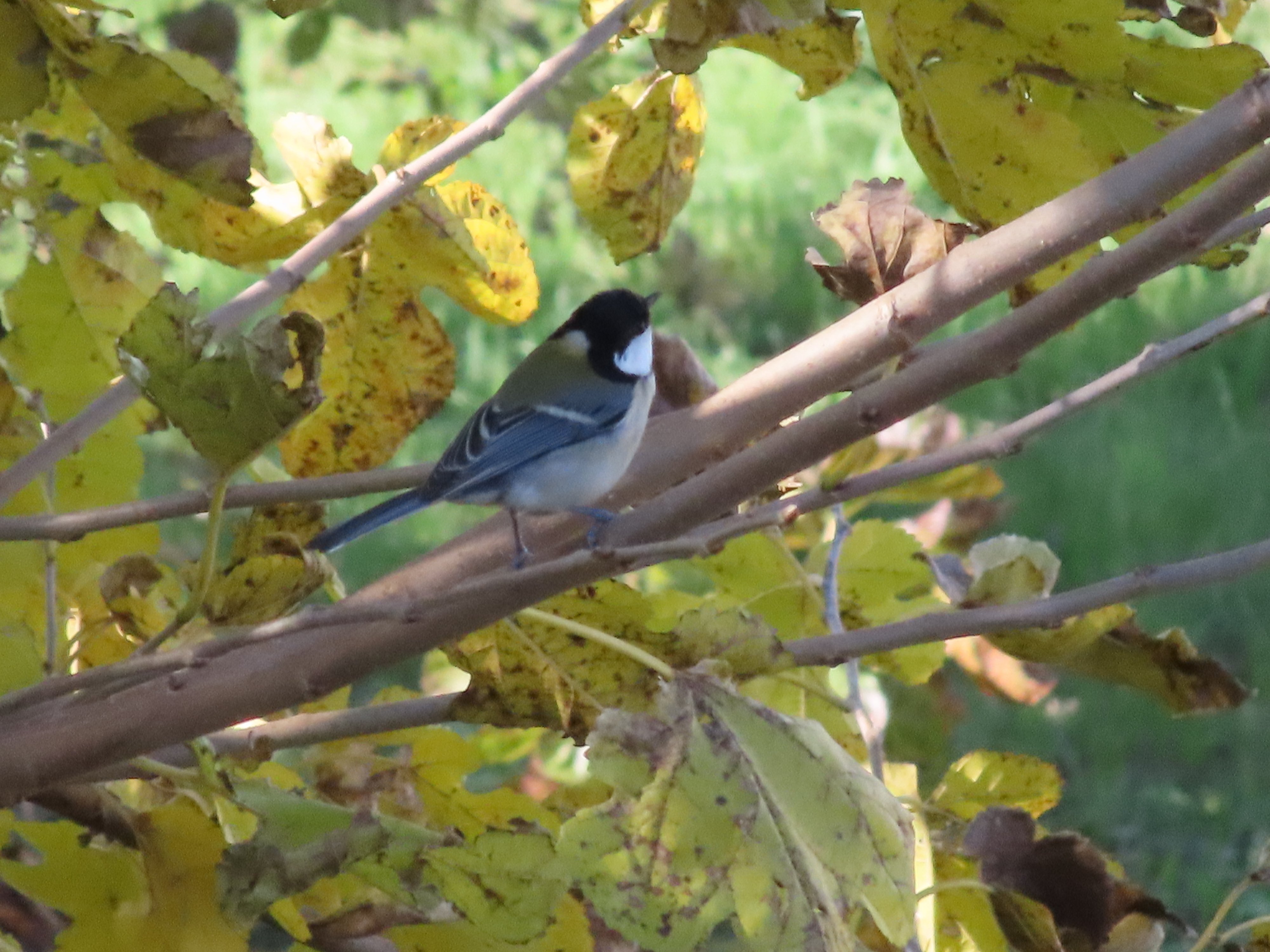 2024年12月5日 画像｜ExportControl