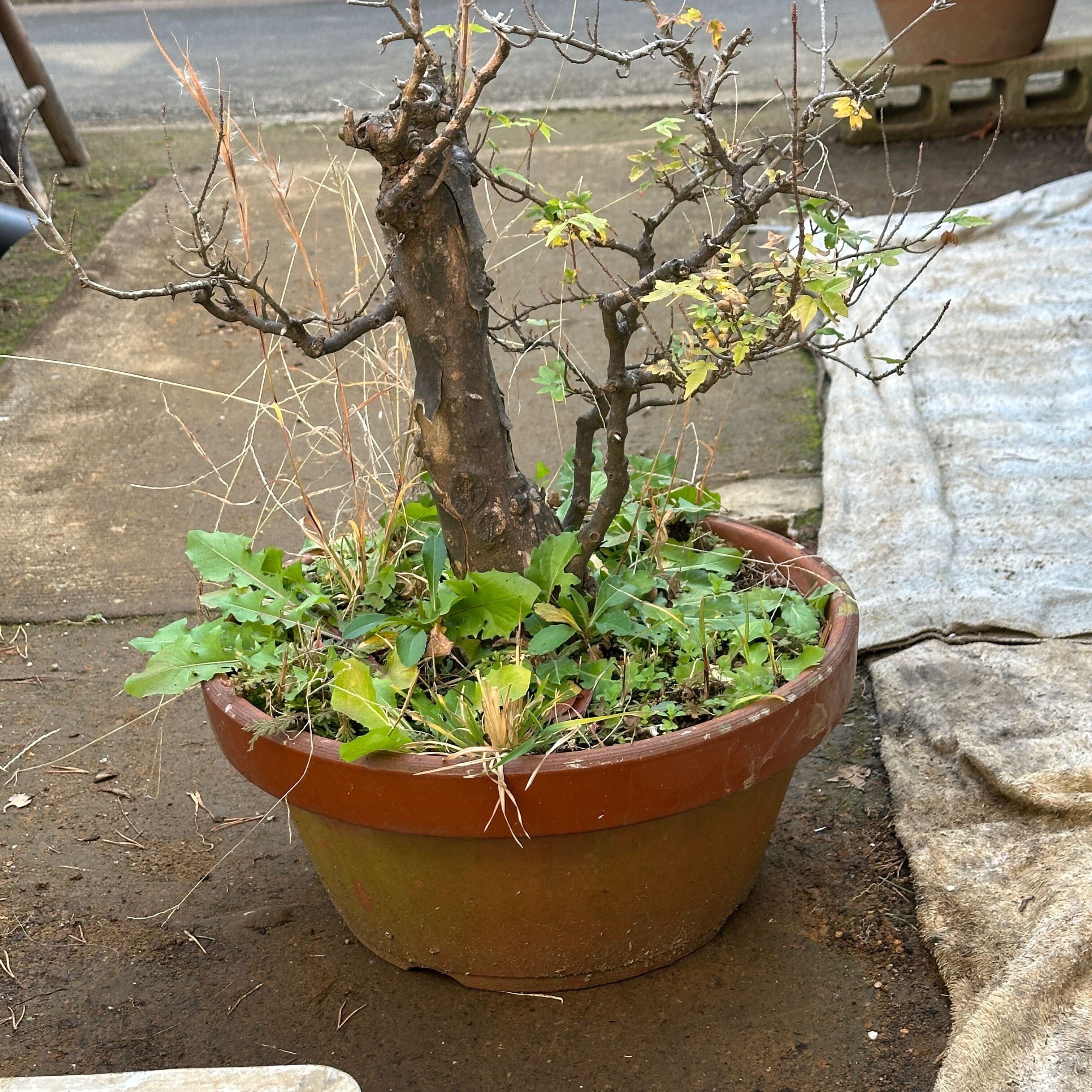 ほんの少しで出来ました、昔ながらのつちです。｜kenji comp