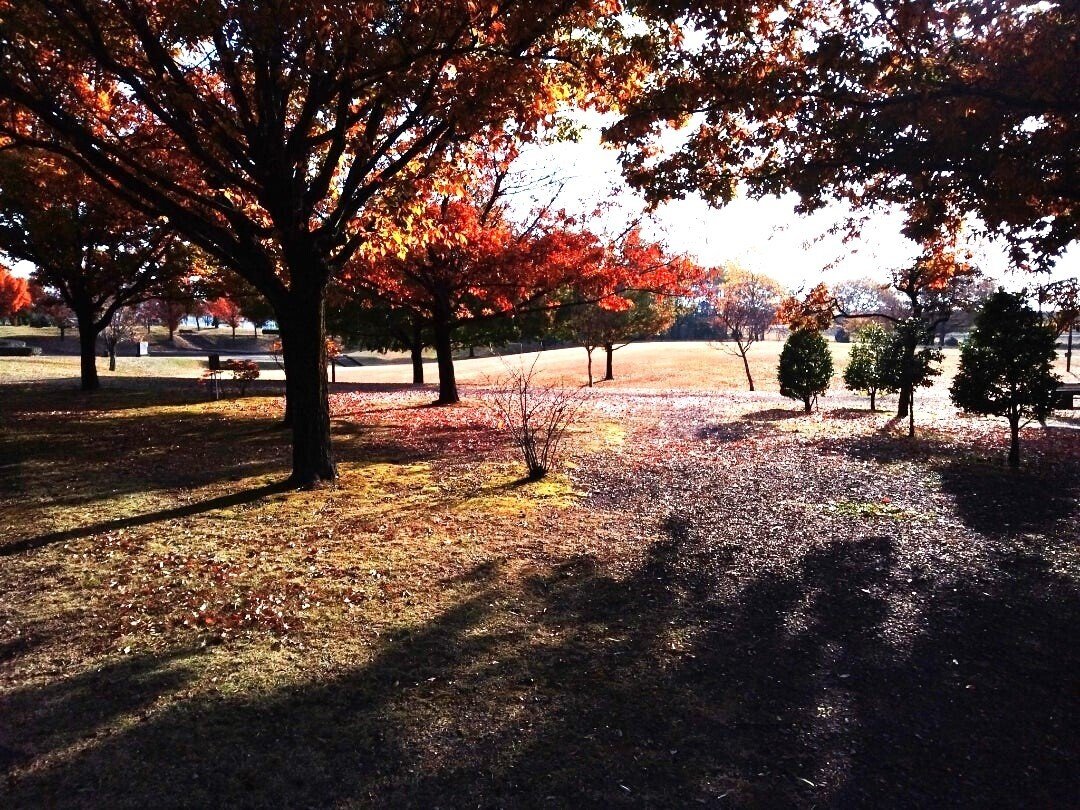 クリエーターズマーケットまで残り3日｜nao kamimura