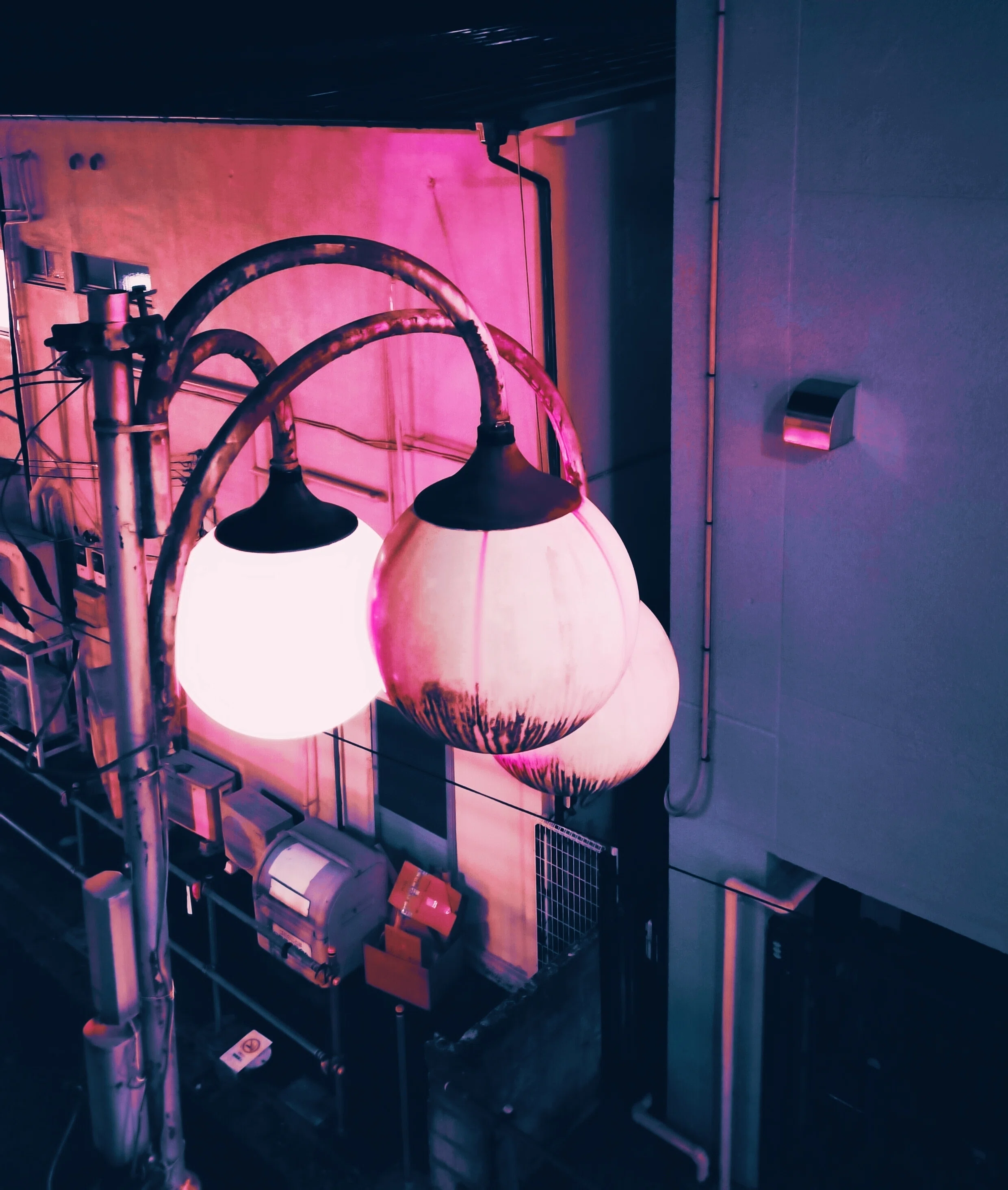 【写真】 Pink Fakism｜式森 SHIKIMORI