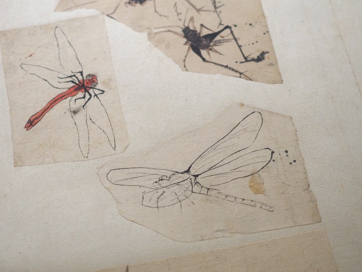 円山応挙の絵画論を読みながら、《写生帖》を観てきました……@トーハク｜かわかわ