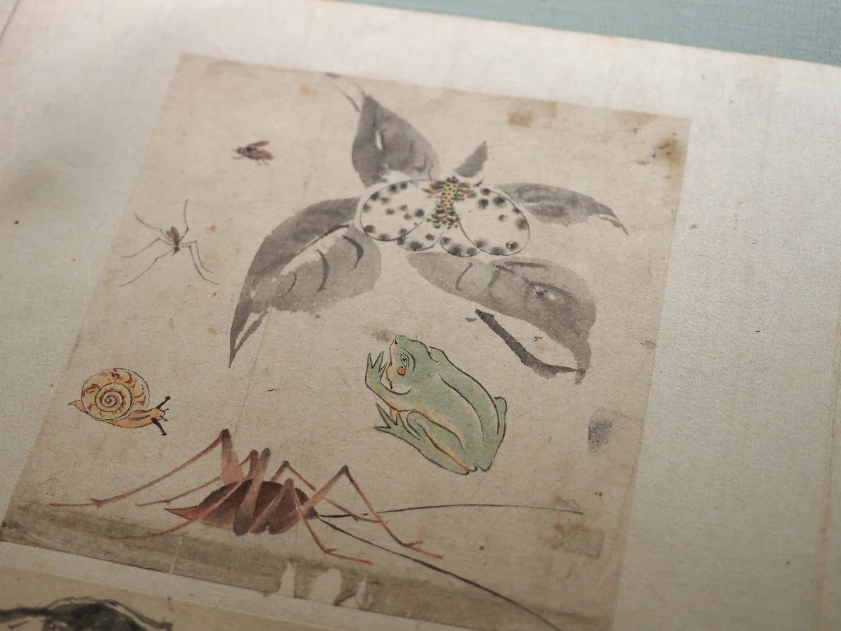 円山応挙の絵画論を読みながら、《写生帖》を観てきました……@トーハク｜かわかわ