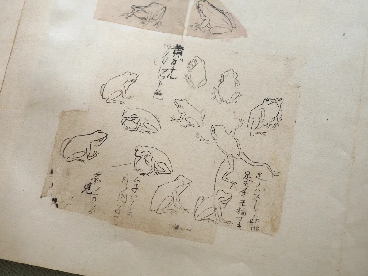 円山応挙の絵画論を読みながら、《写生帖》を観てきました……@トーハク｜かわかわ