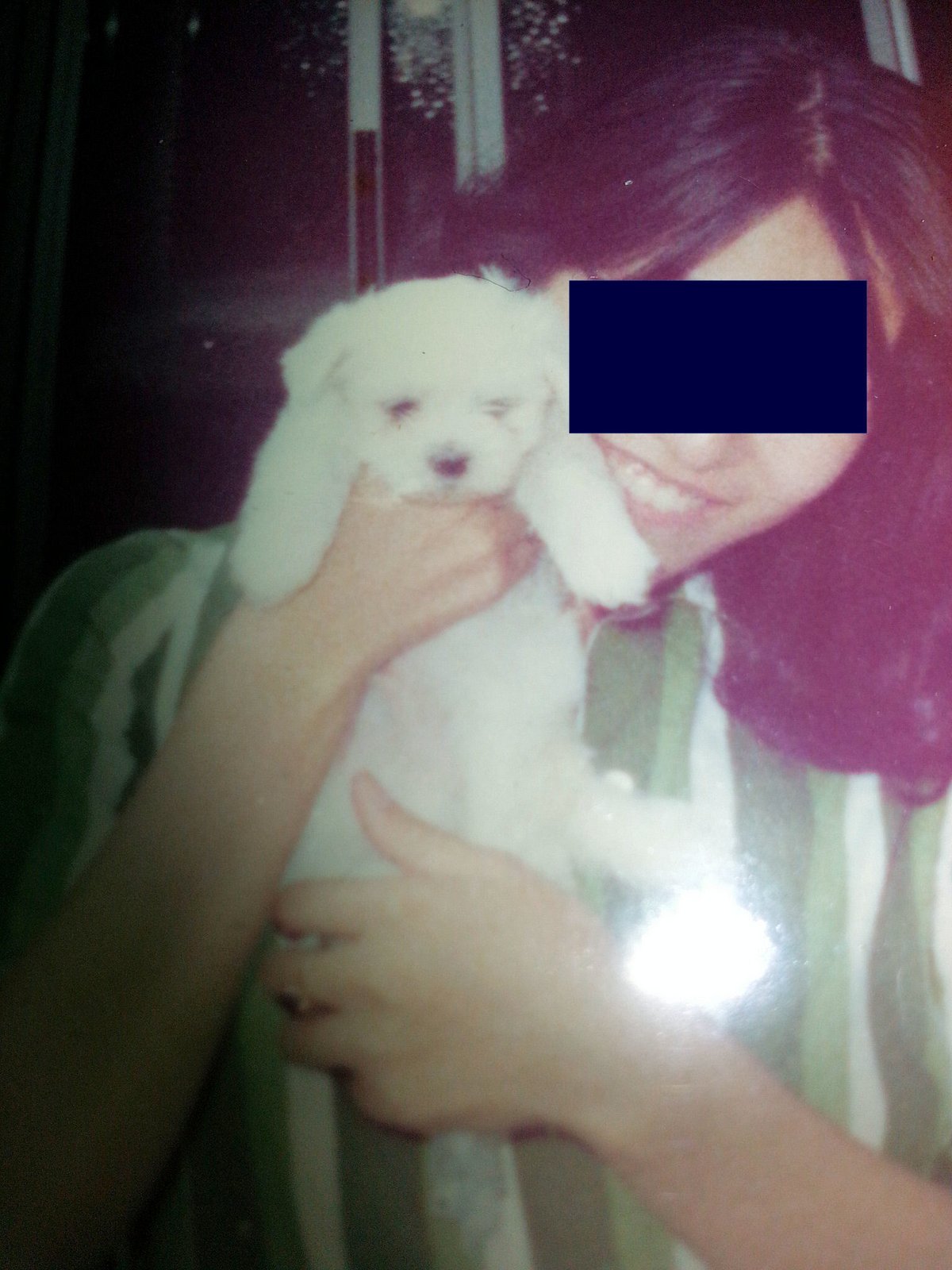 Joan Osborne の「Sara Smile」#53｜rakuda