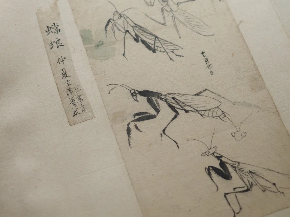 円山応挙の絵画論を読みながら、《写生帖》を観てきました……@トーハク｜かわかわ