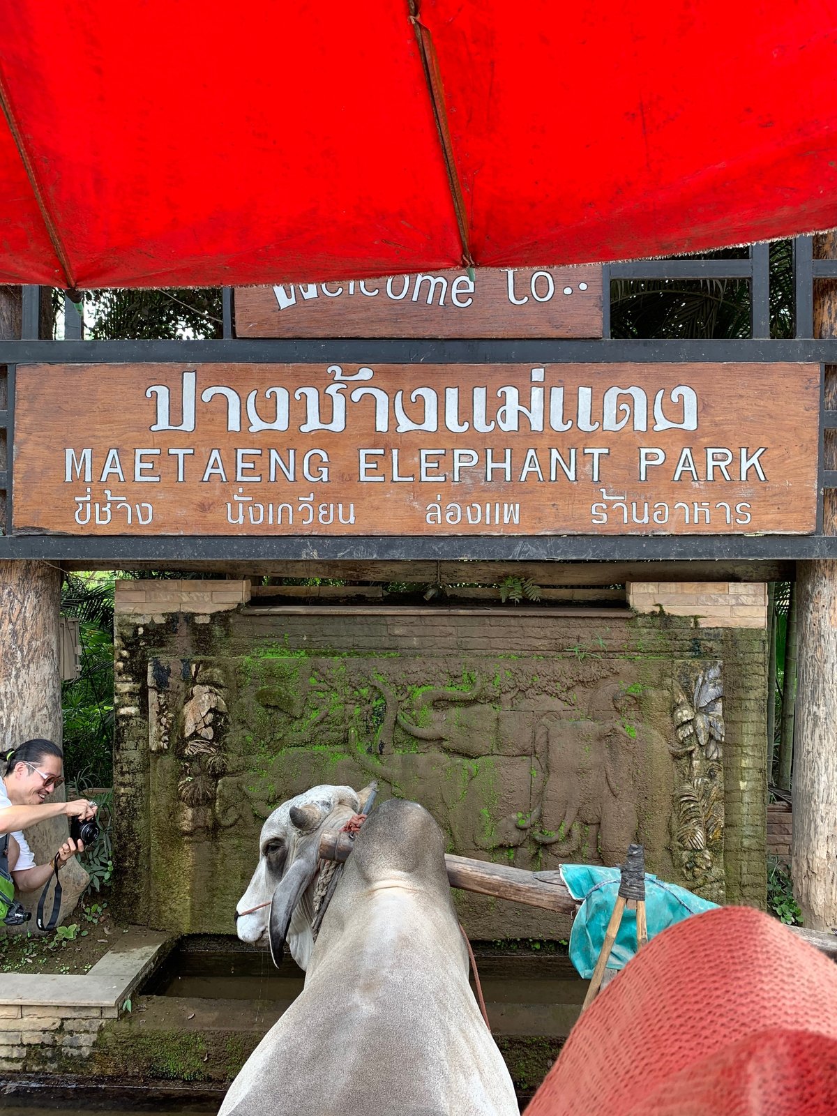 チェンマイより愛を込めて③｜MASAHIRO OKUNO