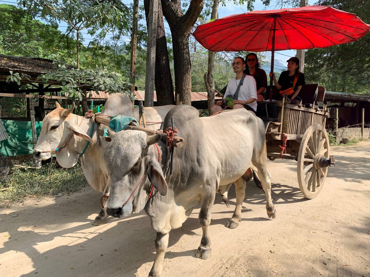 チェンマイより愛を込めて③｜MASAHIRO OKUNO