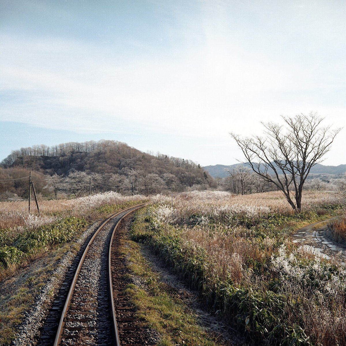 24年11月末 北海道へ｜robert_oku