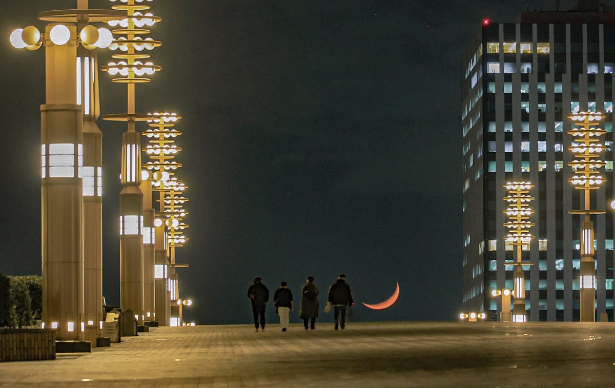 夢の大橋にて｜Toru Shiratori