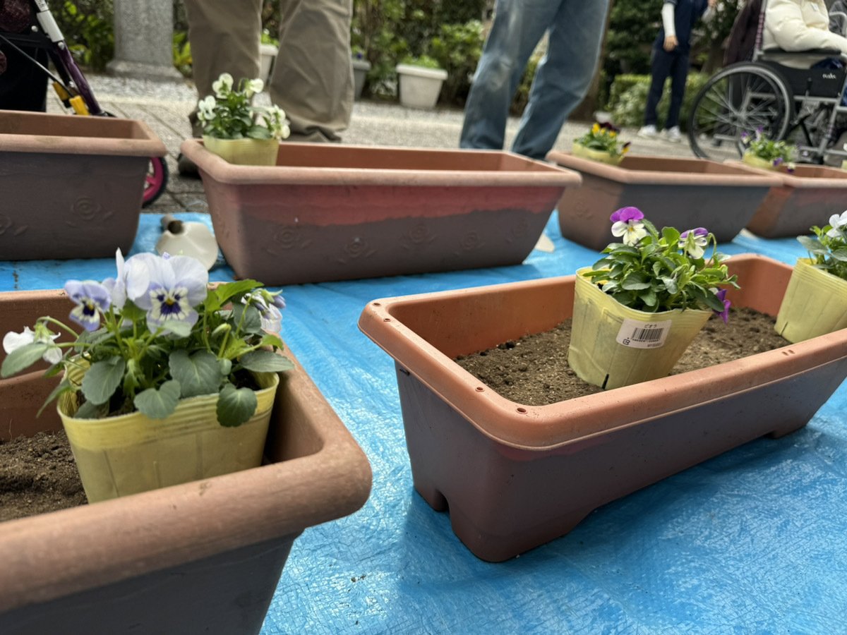 花植え体験会に参加しました！（マフィス横濱元町)｜Maffice -マフィス- | 保育専用note