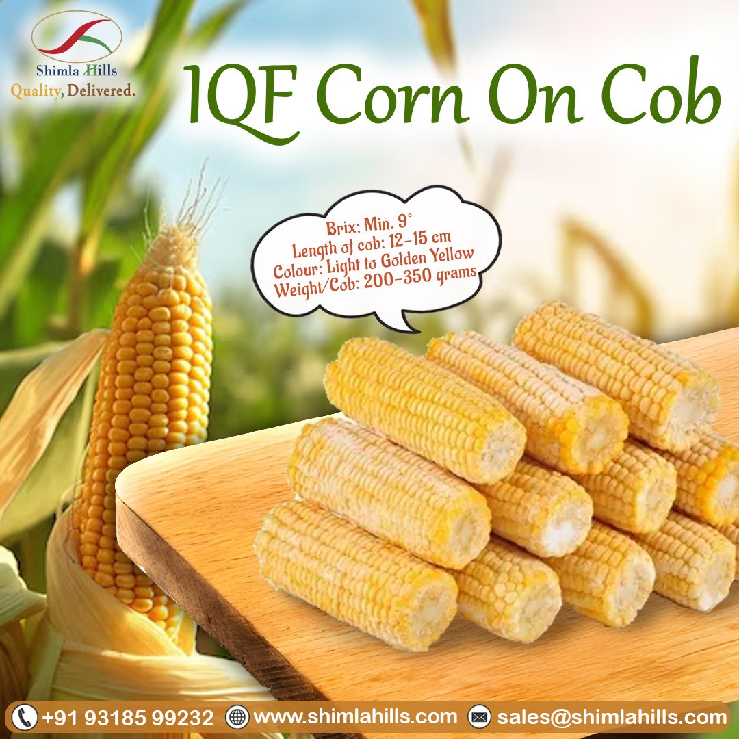 Shimla Hills Sweet Corn on Cob｜Shimla Hills Offerings Pvt Ltd