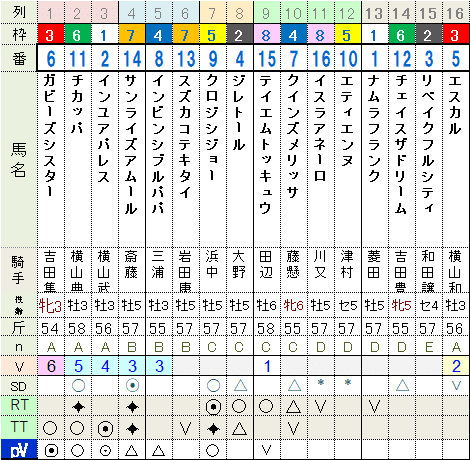 ′24【阪神JF（G1)】【カペラS（G3)】傾向:展望/狙い目｜OZON