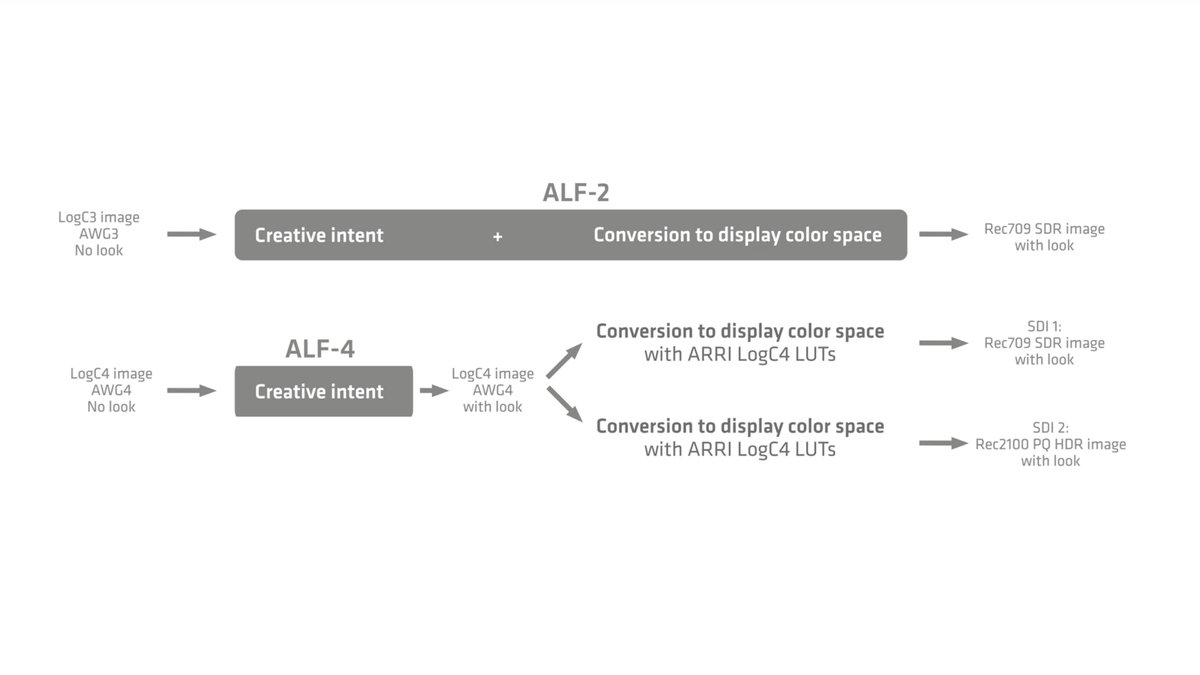 RED LUTs for N-LOG 分析してみた｜UMU TOKYO