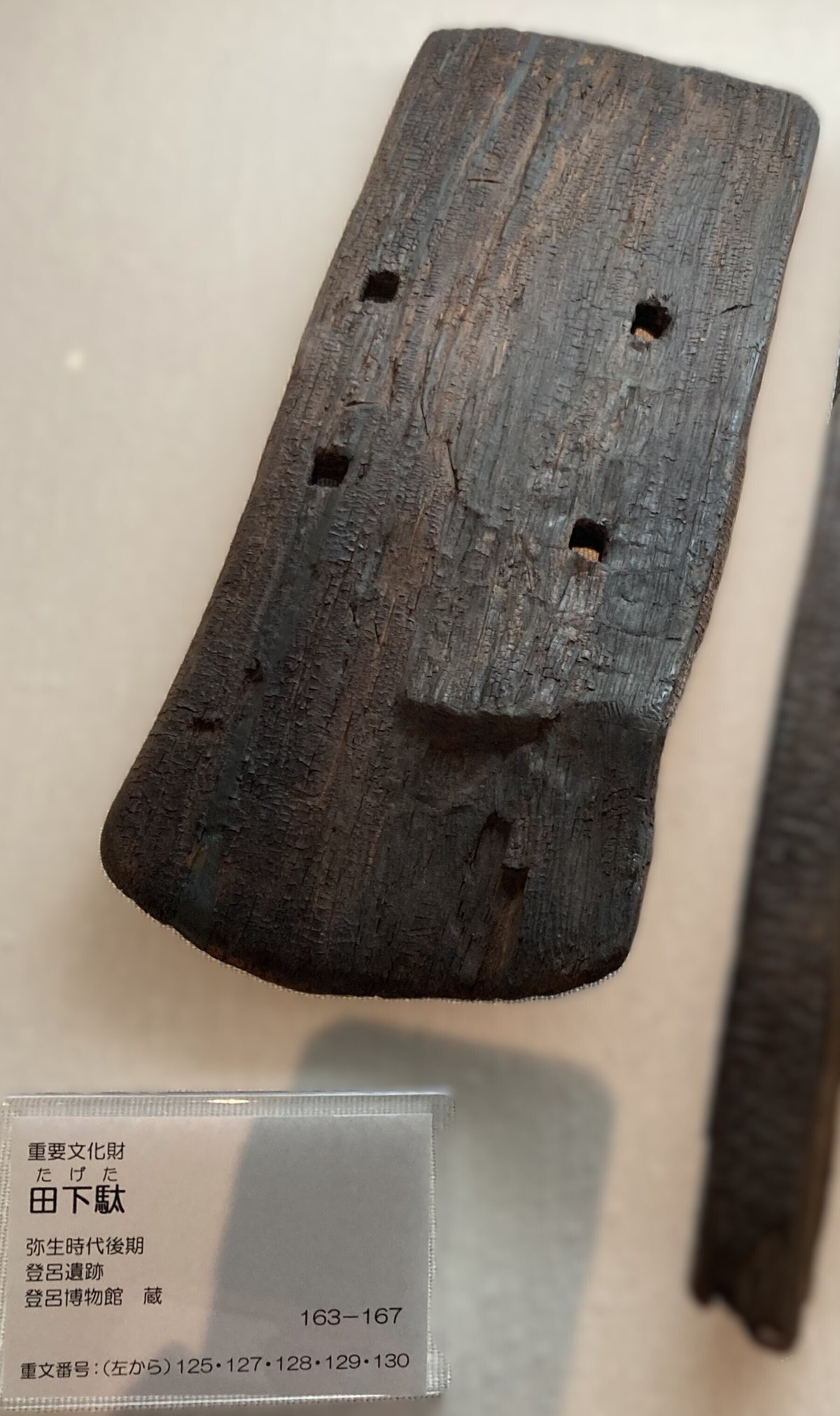 静岡への旅（1）国指定特別史跡 登呂遺跡・静岡市立登呂博物館｜スナフキンの友達