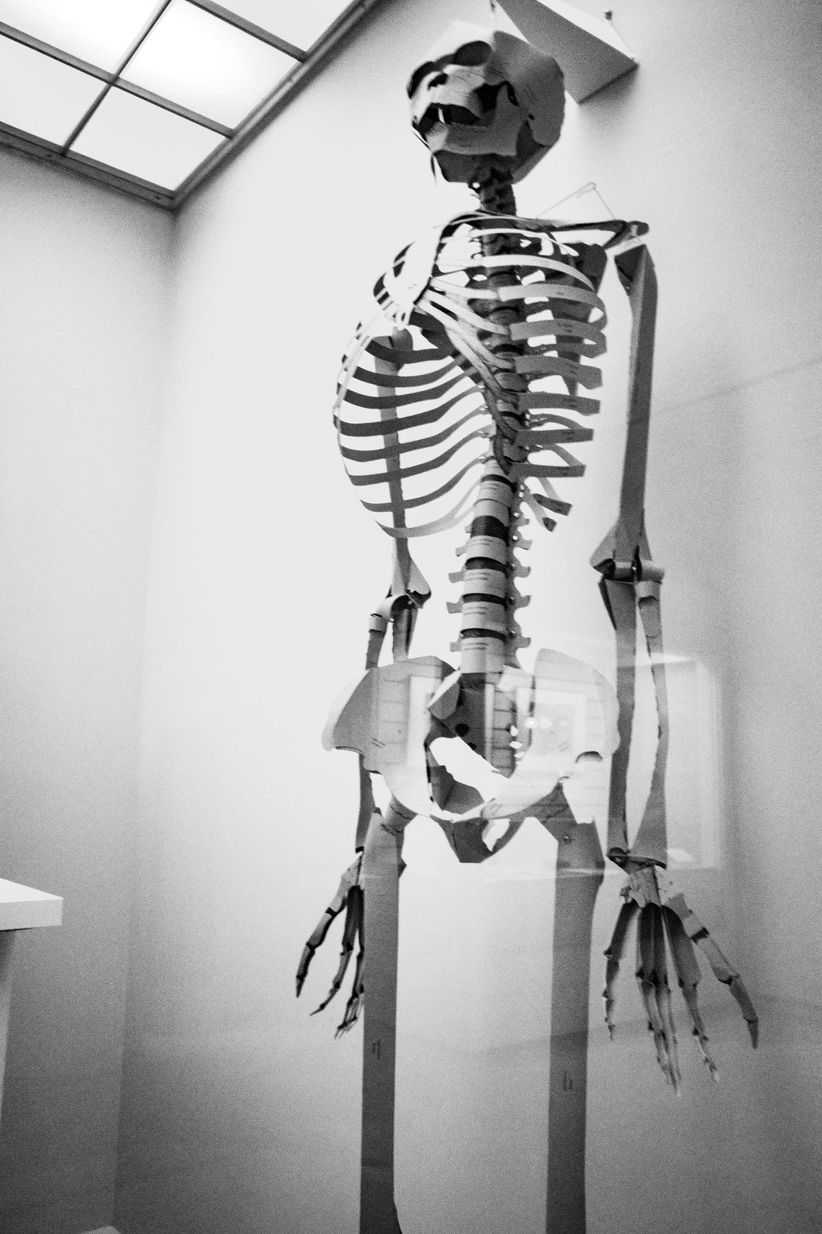 日記と珈琲_11月の裏側｜米谷隆佑｜Yoneya Ryusuke