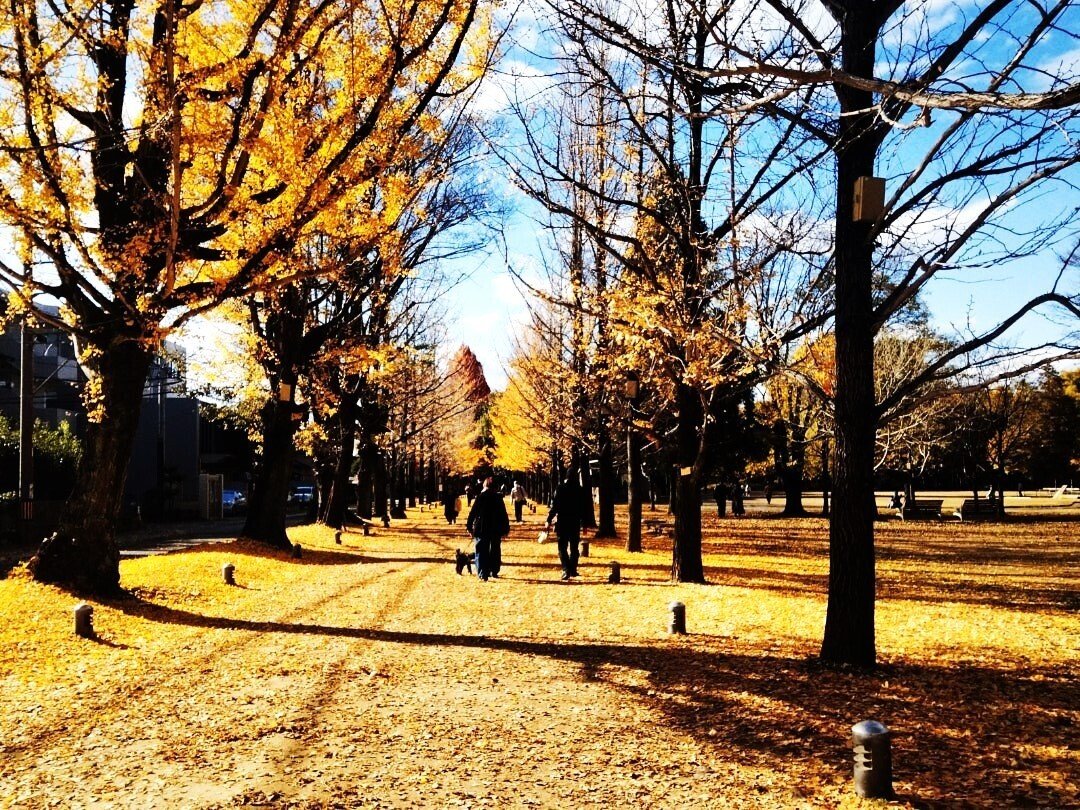 日常が戻りました｜nao kamimura