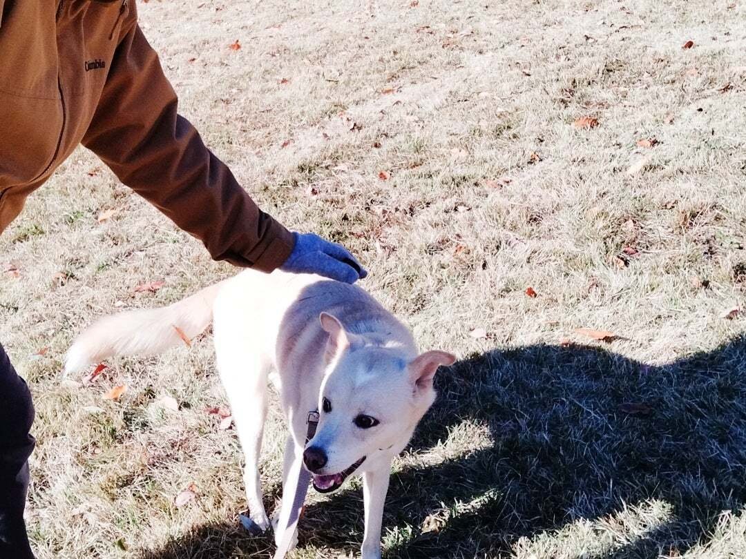 日常が戻りました｜nao kamimura
