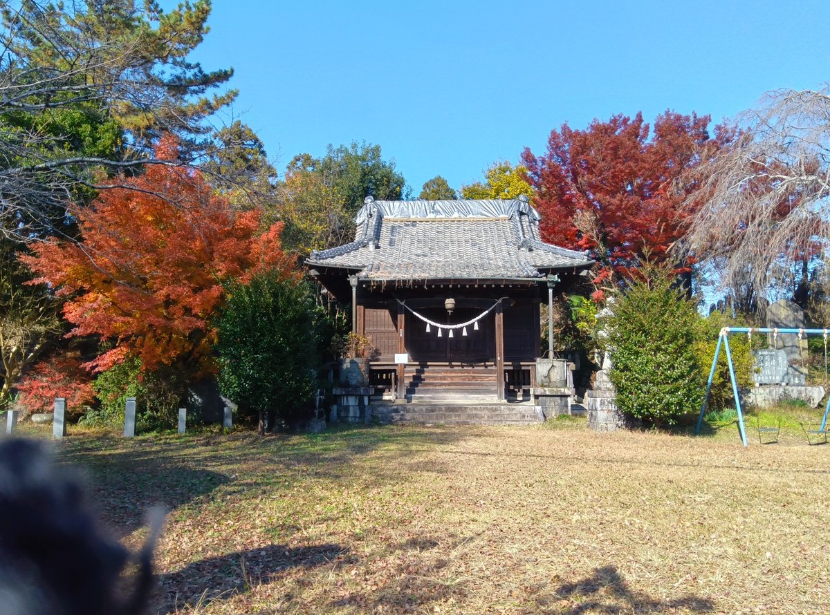 そこに山があるじゃないか！～プチ登山習慣～｜穂積 歩夜